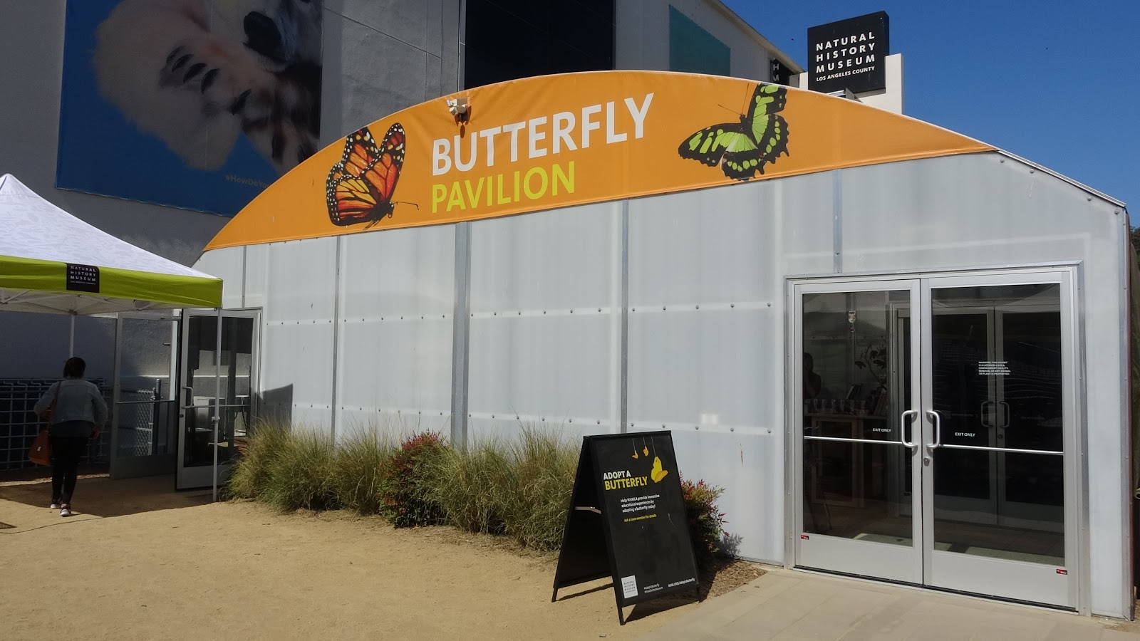 Butterfly Pavilion | Natural History Museum of Los Angeles, CA