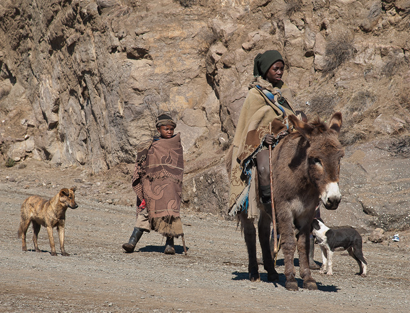 Butterfly on a Broomstick: Guest Photographer Francois Venter: Lesotho ...