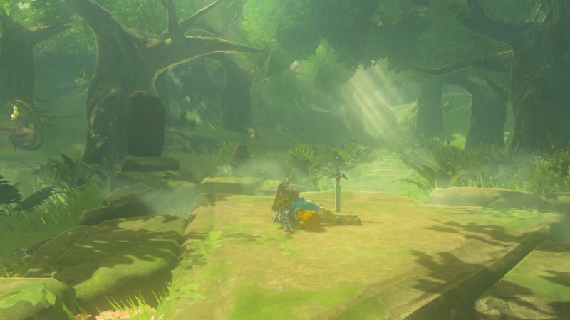 Hyrule Blog - The Zelda Blog: Breath of the Wild Adventure Log, Entry 8