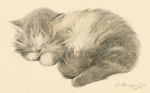 The Art of Children's Picture Books: Cat Illustrations in Vintage ...