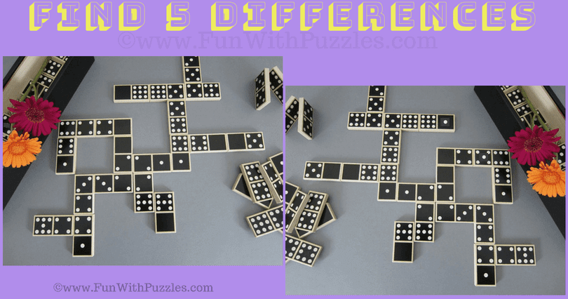 Spot the 5 Differences: Picture Riddle for Genius Minds