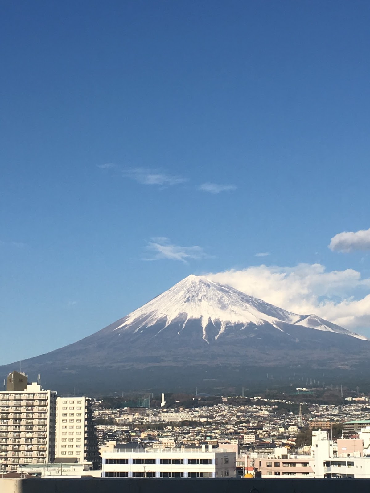 Summer view of Mount Fuji in La Hall