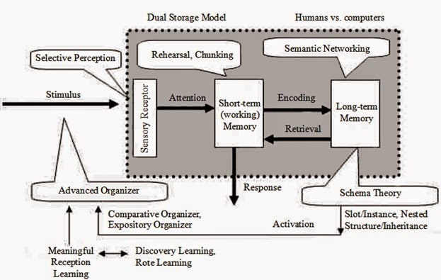 MIT 4080 Final Assignment Feedback: Schema Theory