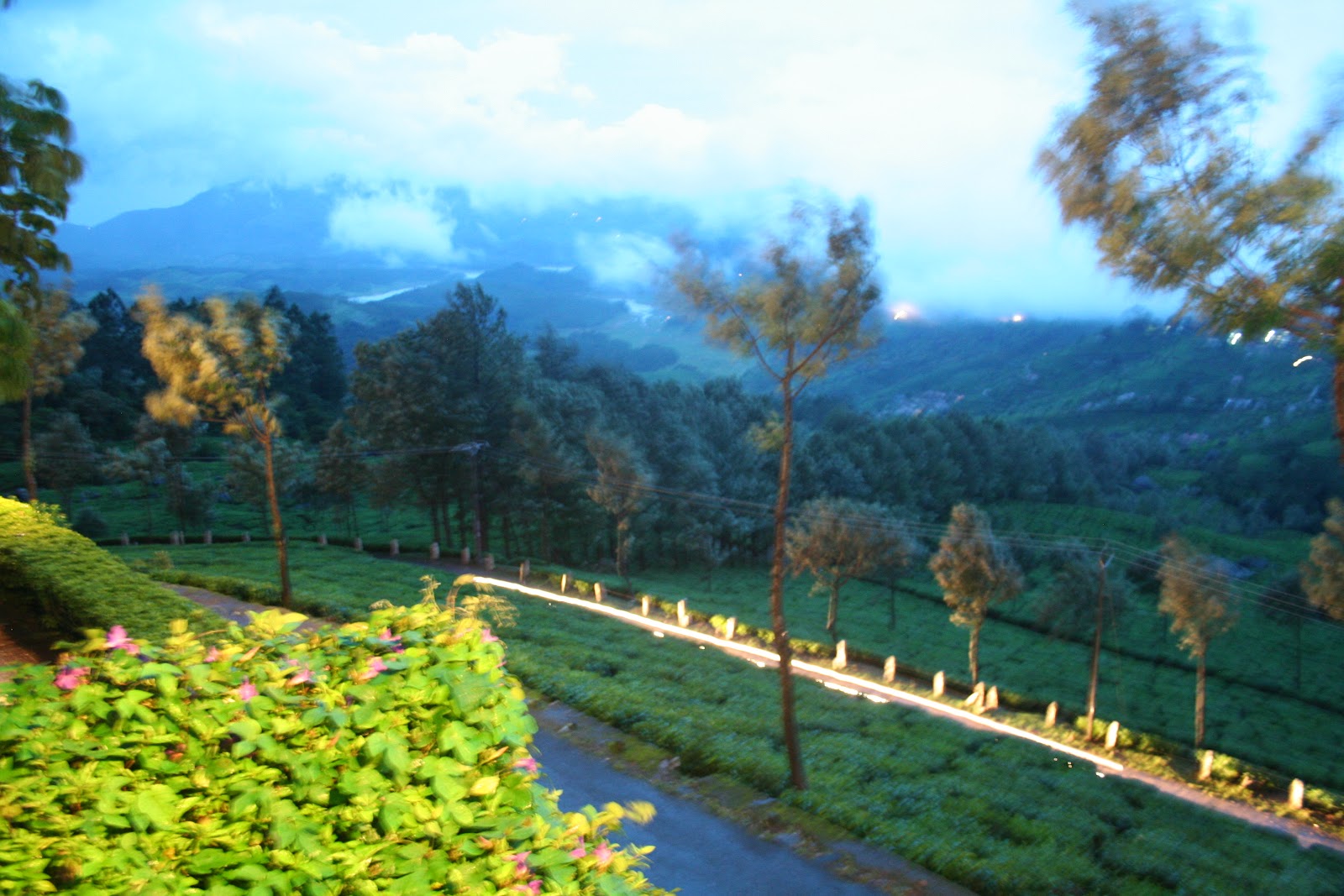 Destinations of India: Munnar - The Misty Mountains