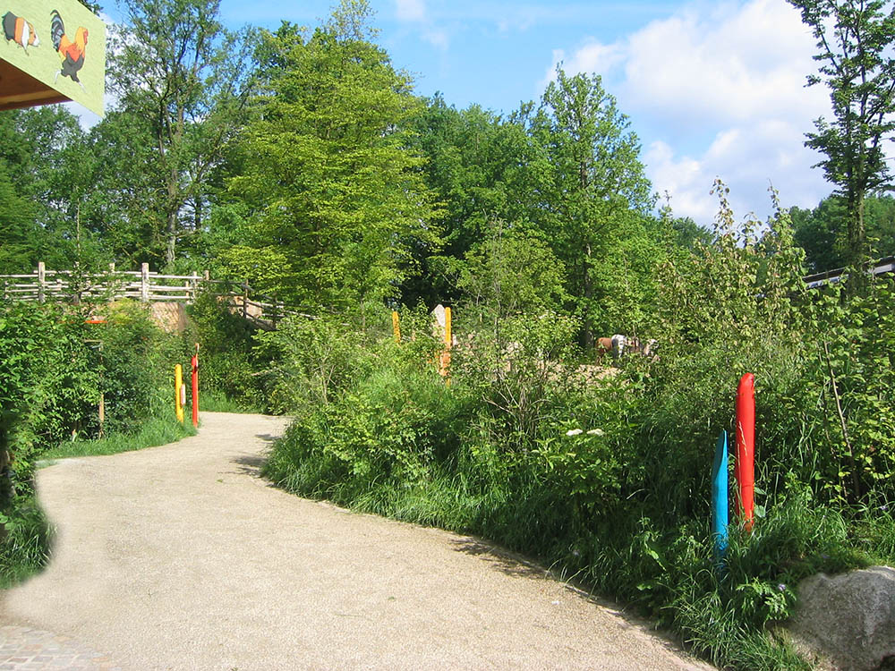 Zoo and Aquarium Design: Children's Paths: A How to Guide