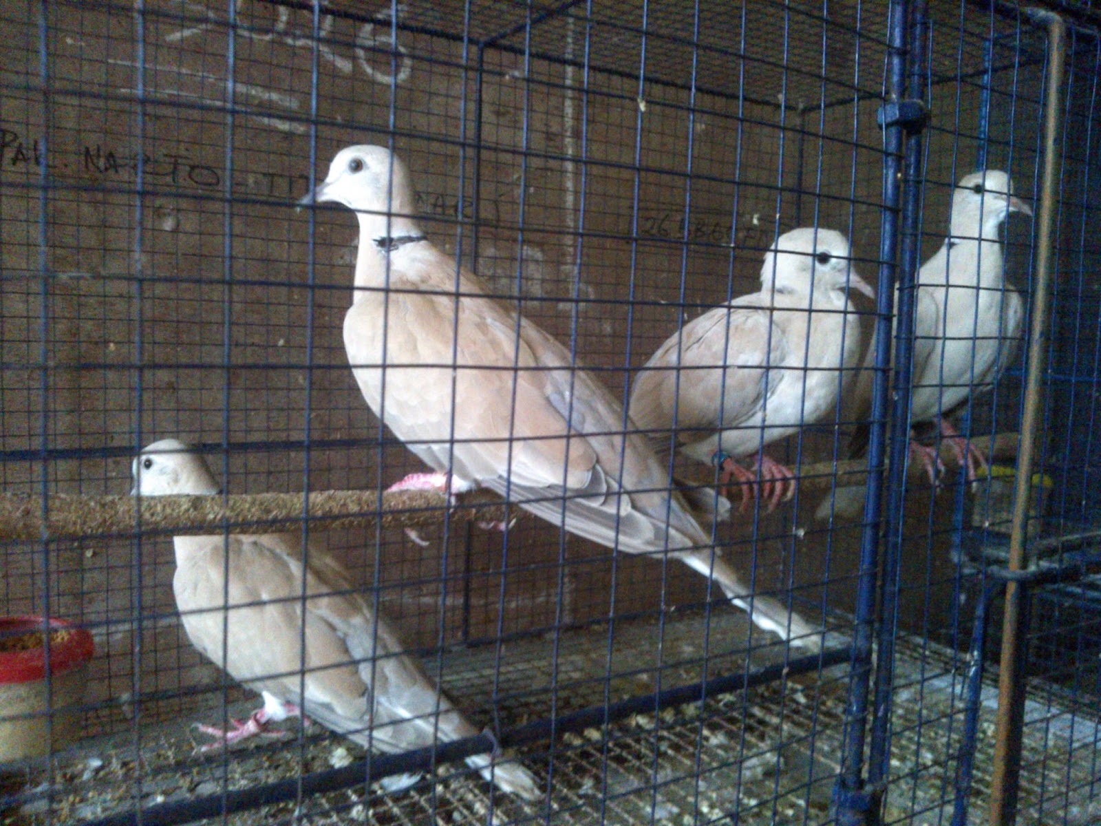 Pics Photos Puter Tiger Woods WITB 2018 (updated As Of The Masters)