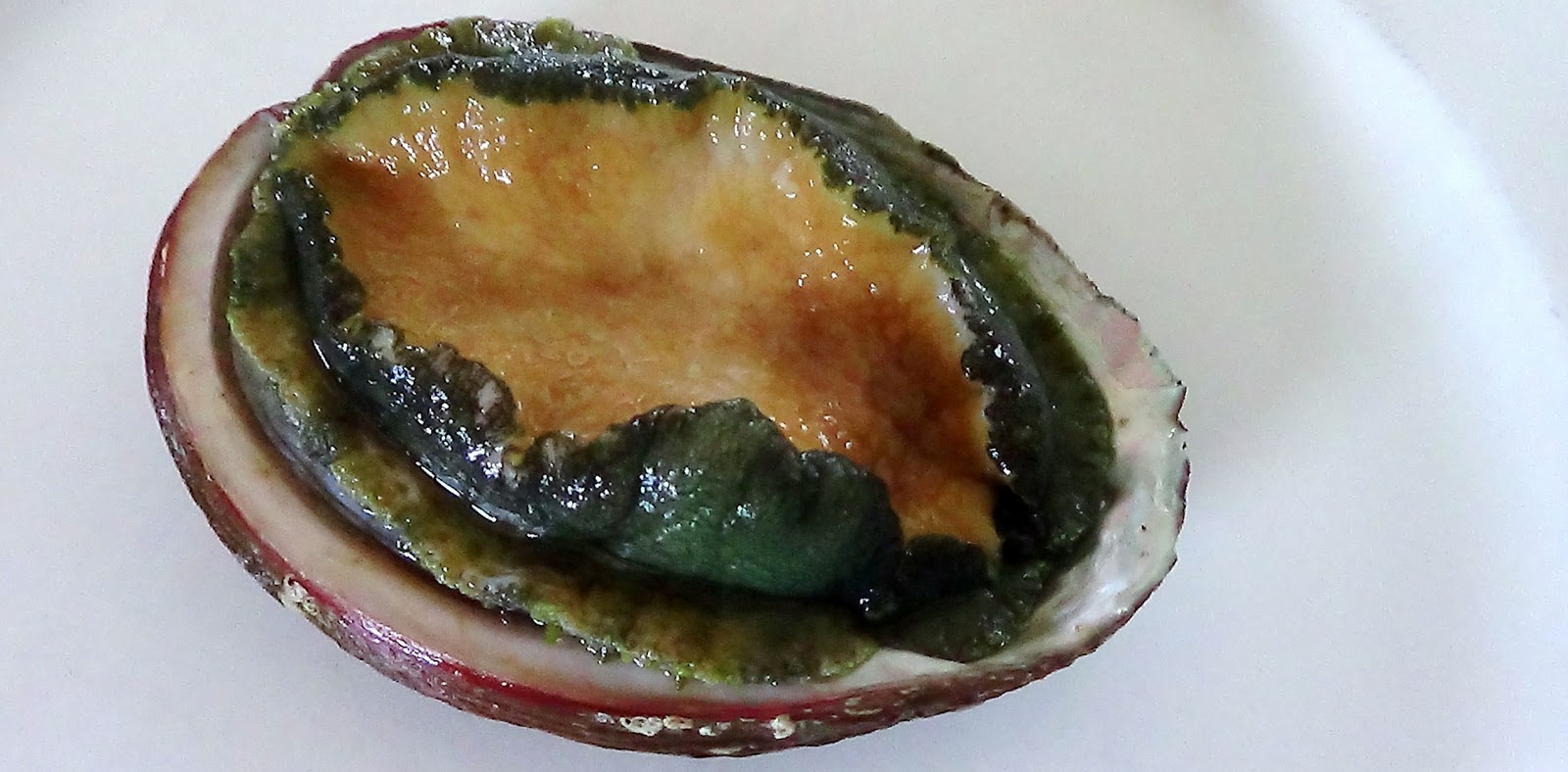 En bout de table : L'ormeau : l'autre coquillage de la Côte d'Emeraude