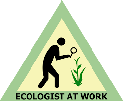 Ecologist At Work: Pros and Cons of Local Field Work