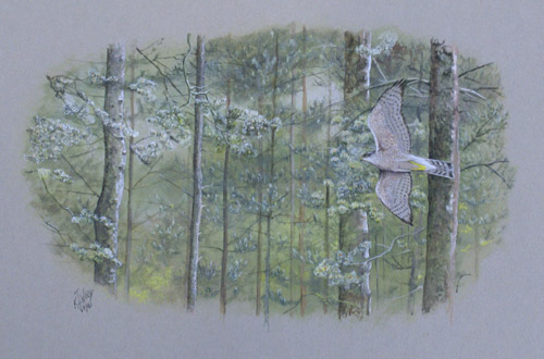 Illustration Art Gallery: Ken J Wood