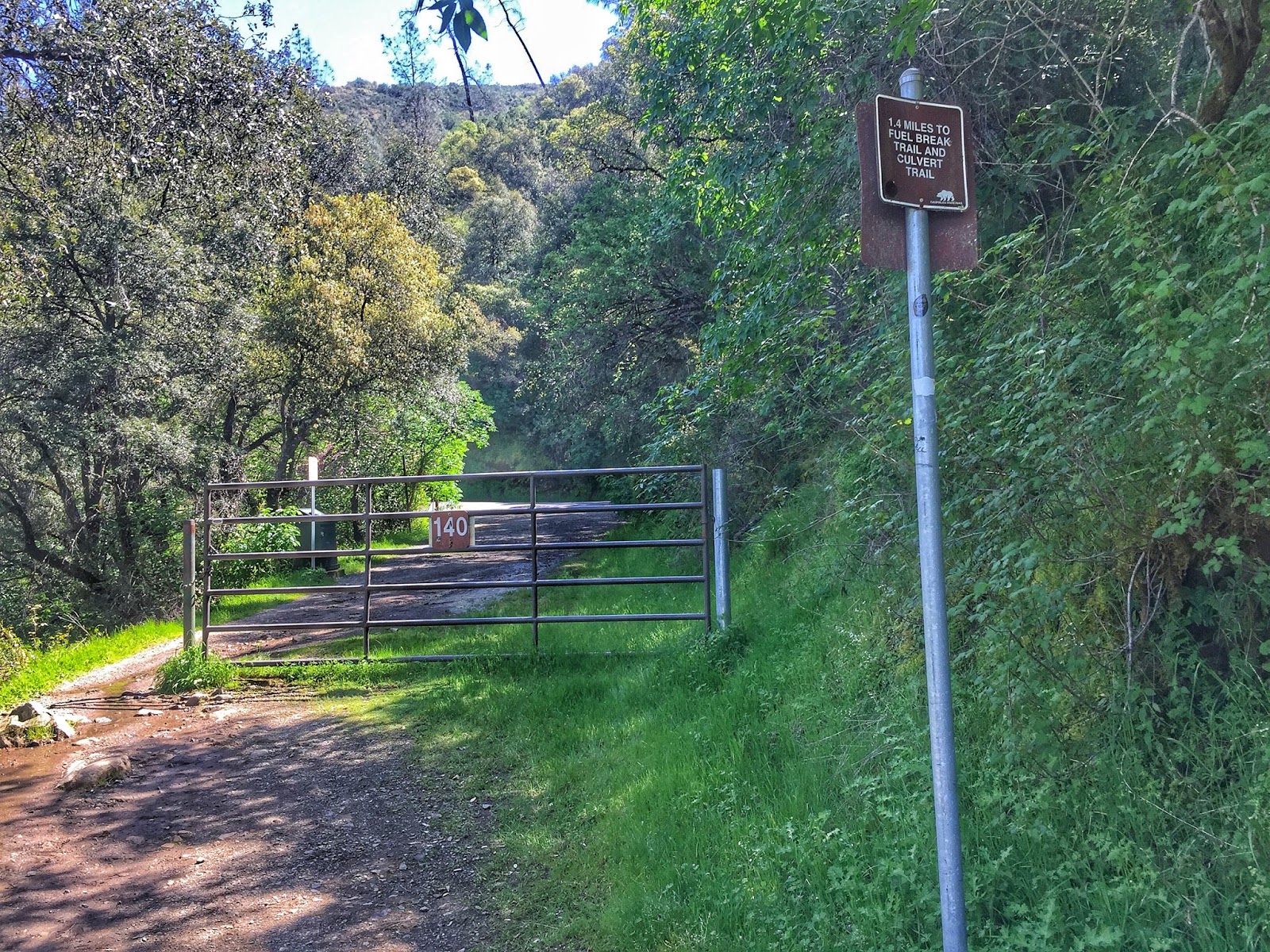 Run-Hike-Play: Lake Clementine Trail to the Dam Hike