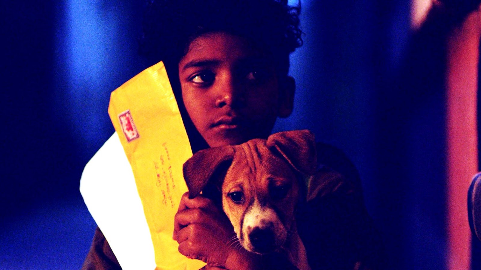 My Cultural Landscape: The Foundling and the Found