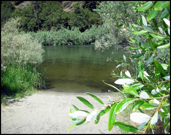 Siskiyou County Camping: Sarah Totten Campground (NFS) Hwy. 96