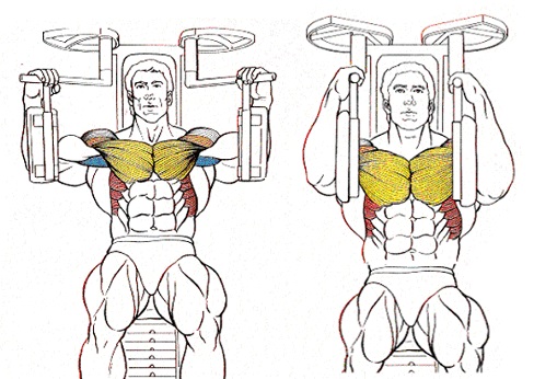 Peck Deck - MIGUELWORKFIT