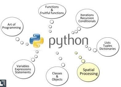 MAP: Have some competence or expertise in programming