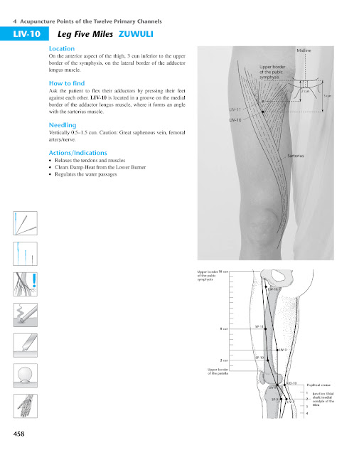 Acupuncture Masters: Acupuncture Points Database - Liver Channel