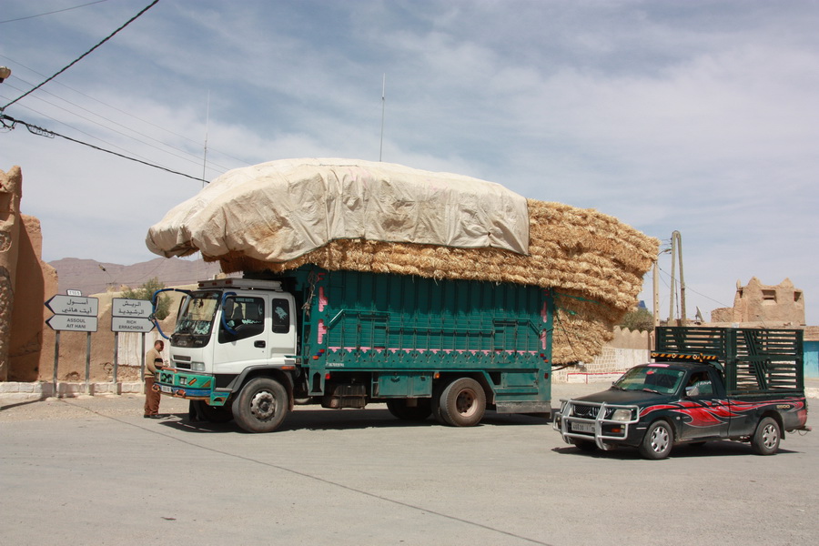 Notre tour du Maroc 2014: 22 mars - du Todra à Goulmima via Assoul