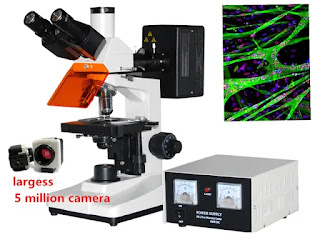 Microscope - Microbiology Laboratory Turkey