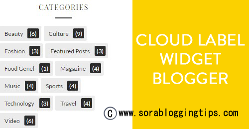 How to Add Stylish Cloud Label Widget In Blogger - Sora Blogging Tips