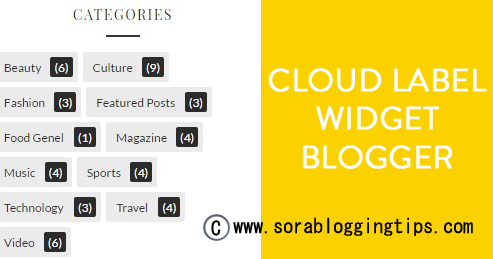 How to Add Stylish Cloud Label Widget In Blogger - Sora Blogging Tips