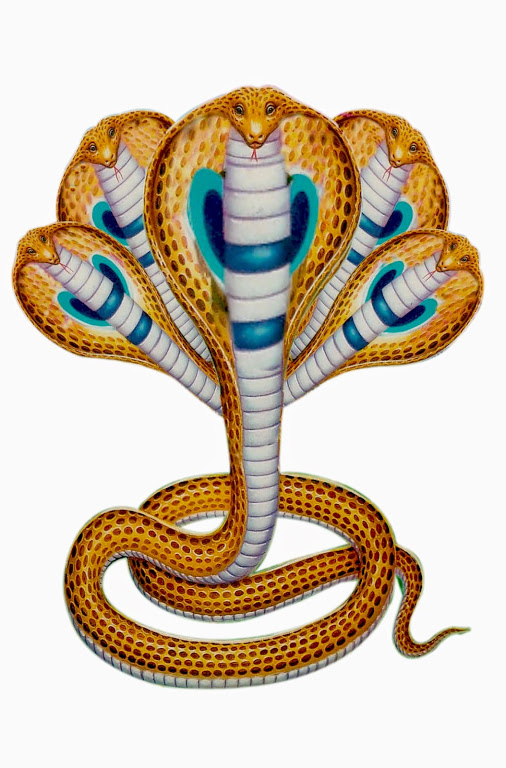 GOGA Maharaj HD Ferr Download Photos images