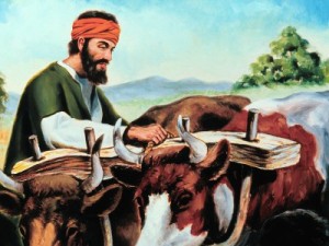 Escuela de Doctrina: Los Yugos