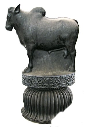 Divine Diyaas: Jallikattu - Importance of Native Indian Bulls