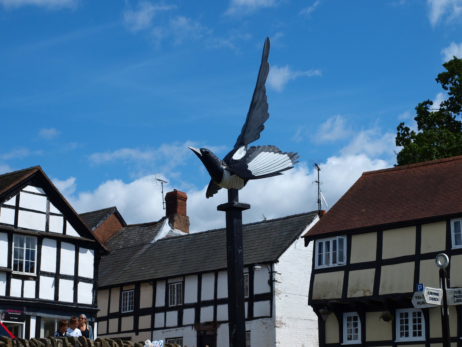 Mark's Veg Plot: These are a few of my favourite things