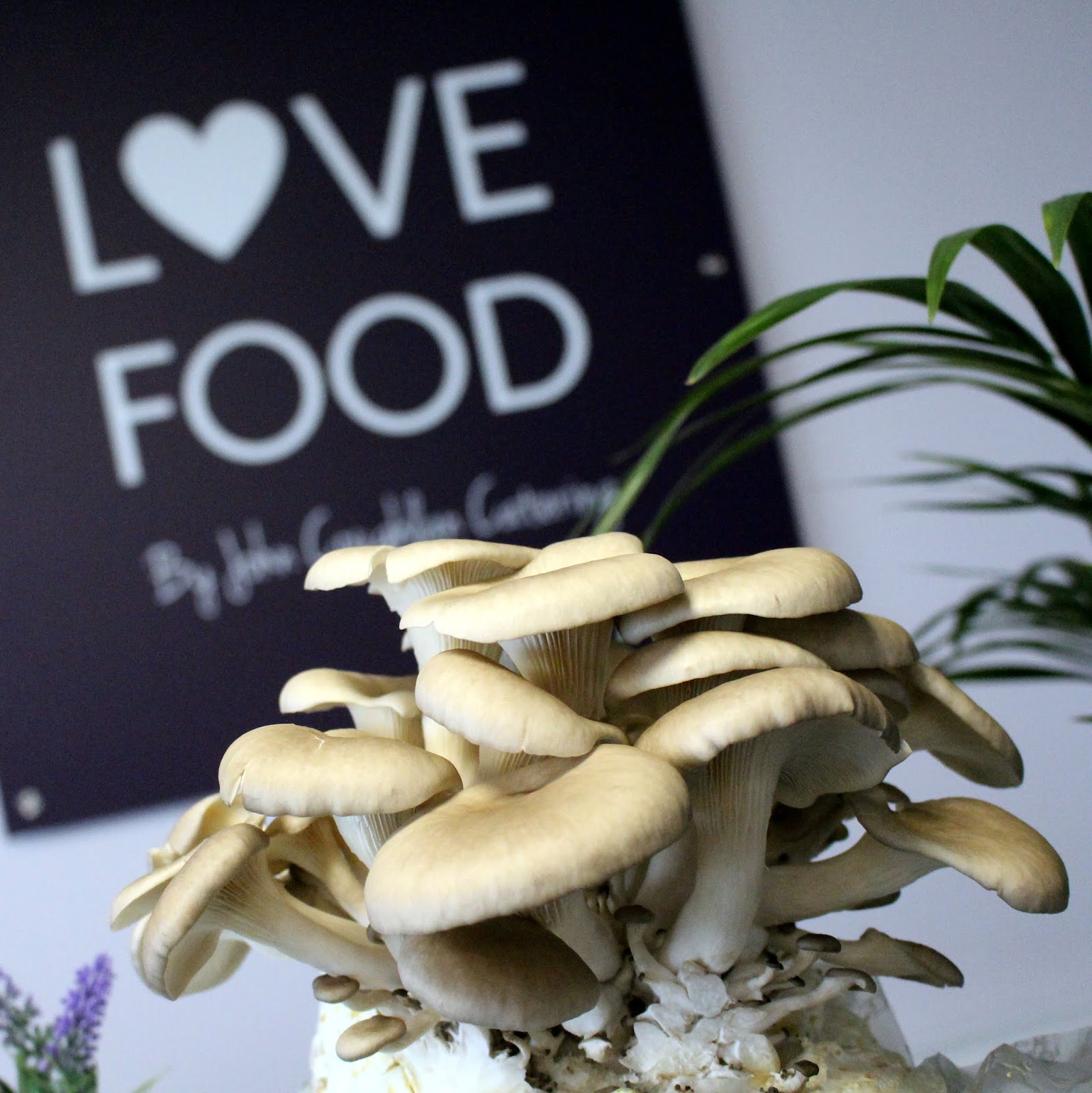 Kilcullen Diary: Love Food business launched at The Link