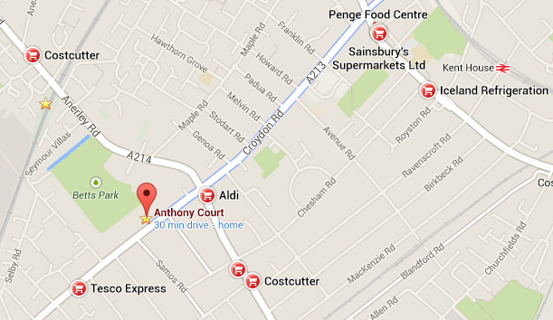 倫敦打工度假小窩: 小窩地點 Anerley (愛麗）