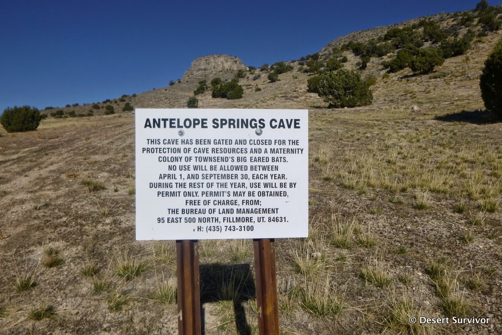 Desert Survivor: Antelope Springs Cave and More