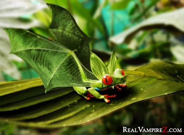 Real Vampires: Exotic Vampire Frog