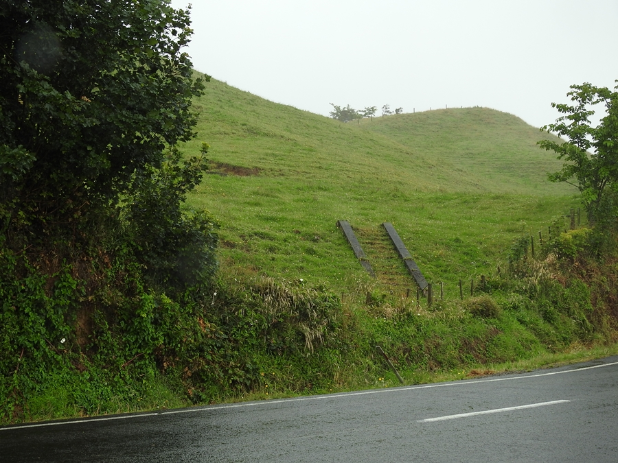 photographing New Zealand: random countryside scenes