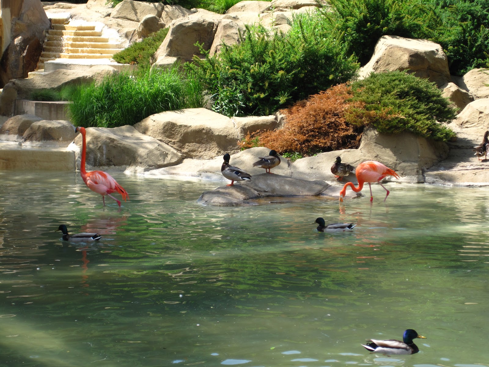 My Zany GAVOT: This Place is a ZOO!!