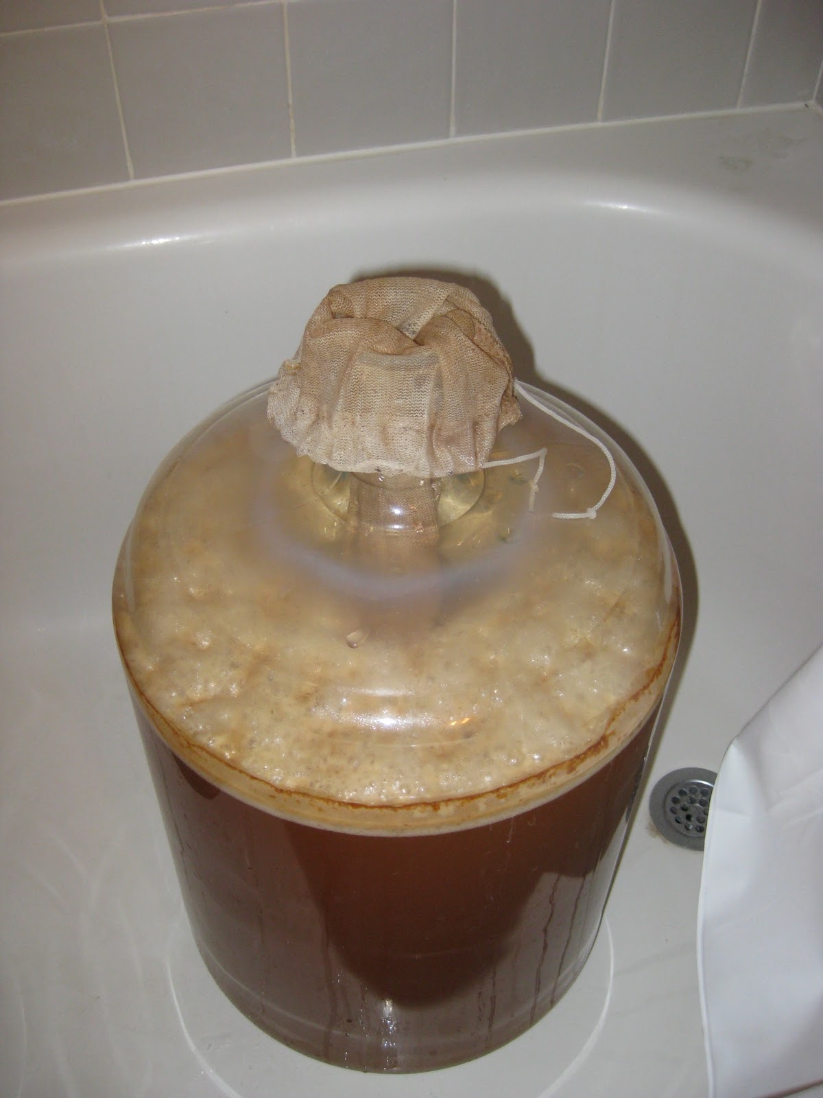 Beer Blog: Dry Hopping: German Hefeweizen (Blueberry Banana)
