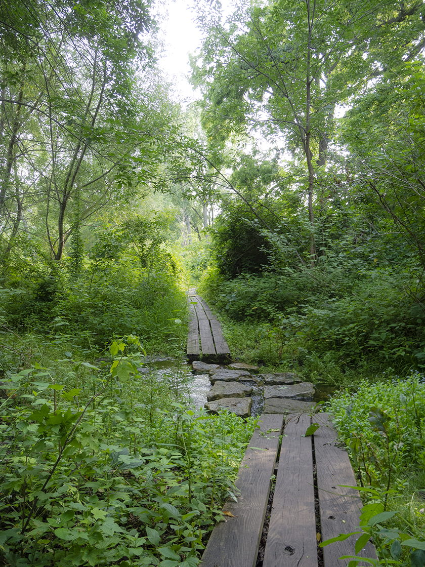 Wisconsin Explorer: UW Arboretum Hiking Trails