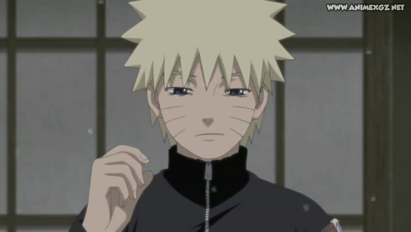 Todo el Anime: naruto 208 (mu)