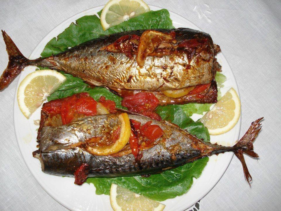 Receta Gatimi Shqip: receta gatimi oktapodi