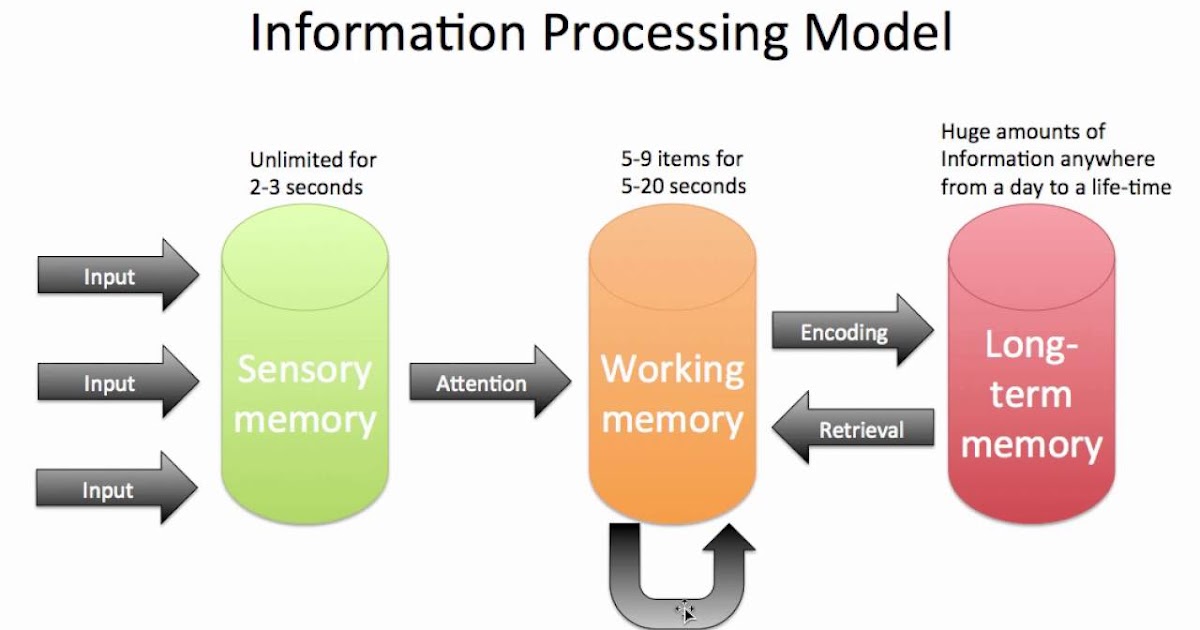 Memory learning & Improving concentration