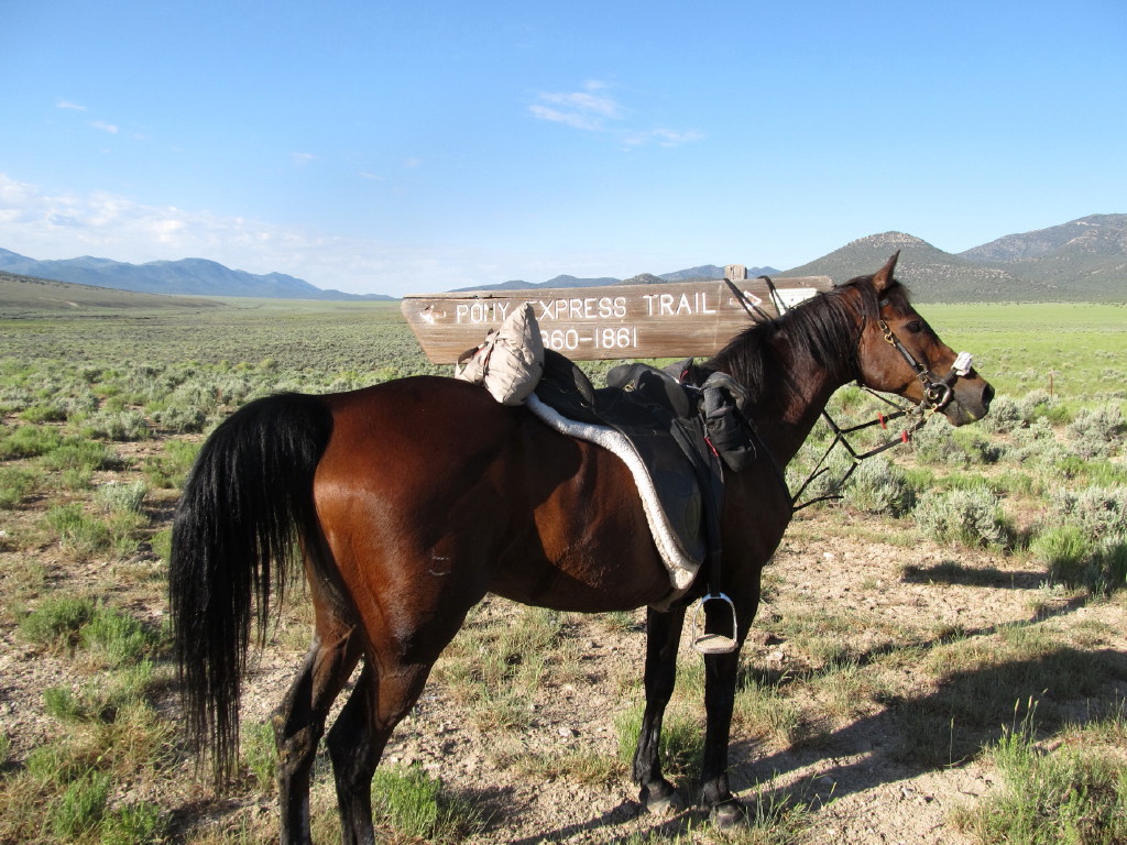 Pony Express 2011: On the Pony Express Trail between Schellbourne and ...
