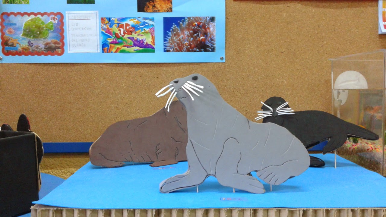 La Clase del Profe Pablo: aventuras y aprendizaje: MORSAS, FOCAS Y ...