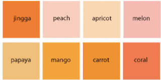 Tren Gaya 38+ Kombinasi Warna Jingga