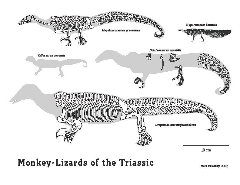 Waxing Paleontological: Monkey Lizards of the Triassic