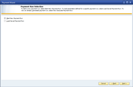 SAP Business One: Payment Wizard