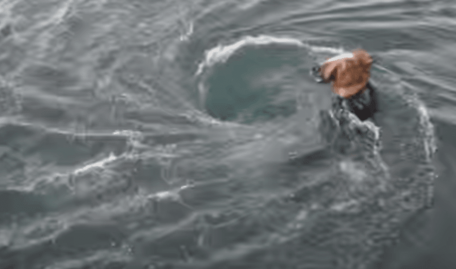 Faces of DEATH: DEATH by Whirlpool, UK