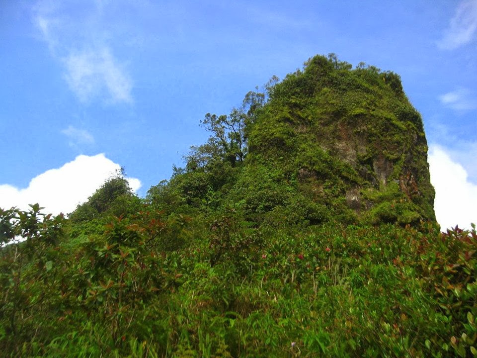 GUNUNG TARUB-LAMONGAN (Ekspedisi Membuka Jalur Pendakian) ~ SAVANA EXPLORE