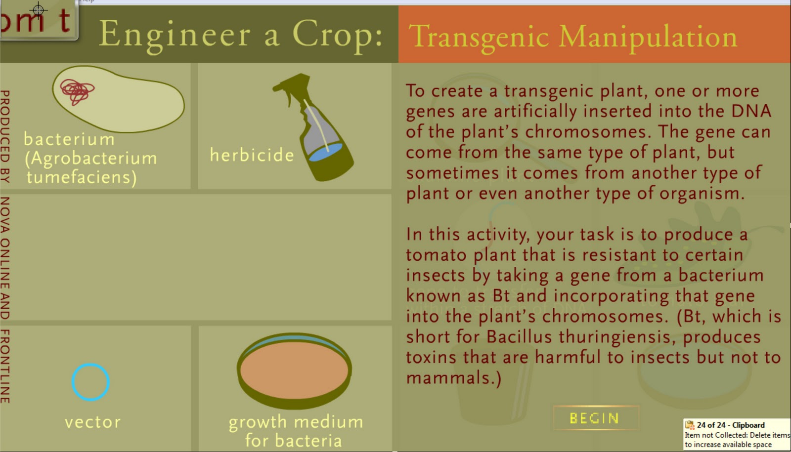 GREENDAILY: Animasi Tanaman Transgenik