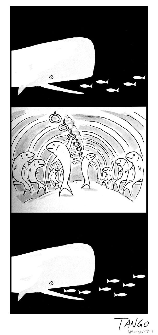 O bom humor e as grandes sacadas na ilustração de Shanghai Tango ...