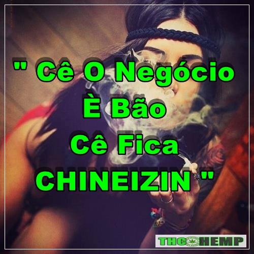 Melhores Frases De Maconheiro - THC HEMP