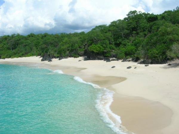 Sofia: Pasir putih di daerahku "PULAU ADONARA"