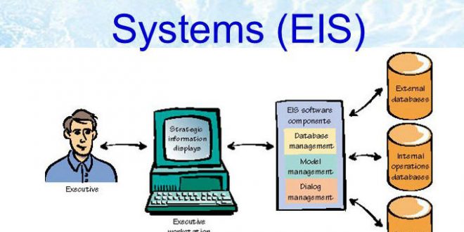 ERP Guide for Dummies: EXECUTIVE INFORMATION SYSTEM (EIS)
